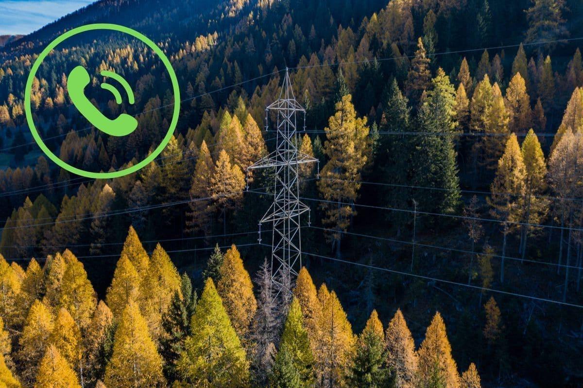 Edyna Numero Verde: Quando e come Segnalare un'Emergenza